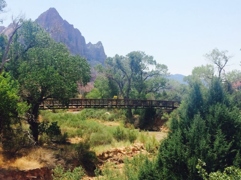 Zion-Powell-Antilope